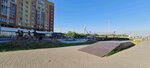 Скейт-парк (Chuvash Republic, Cheboksary, Noviy Gorod Microdistrict, 1-y mikrorayon), kaykay parkı  Cheboksary'den