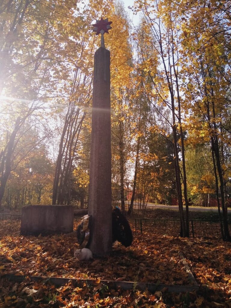 Anıt, heykel Погибшим в Великой Отечественной войне 1941-1945 гг., Pskovskaya oblastı, foto