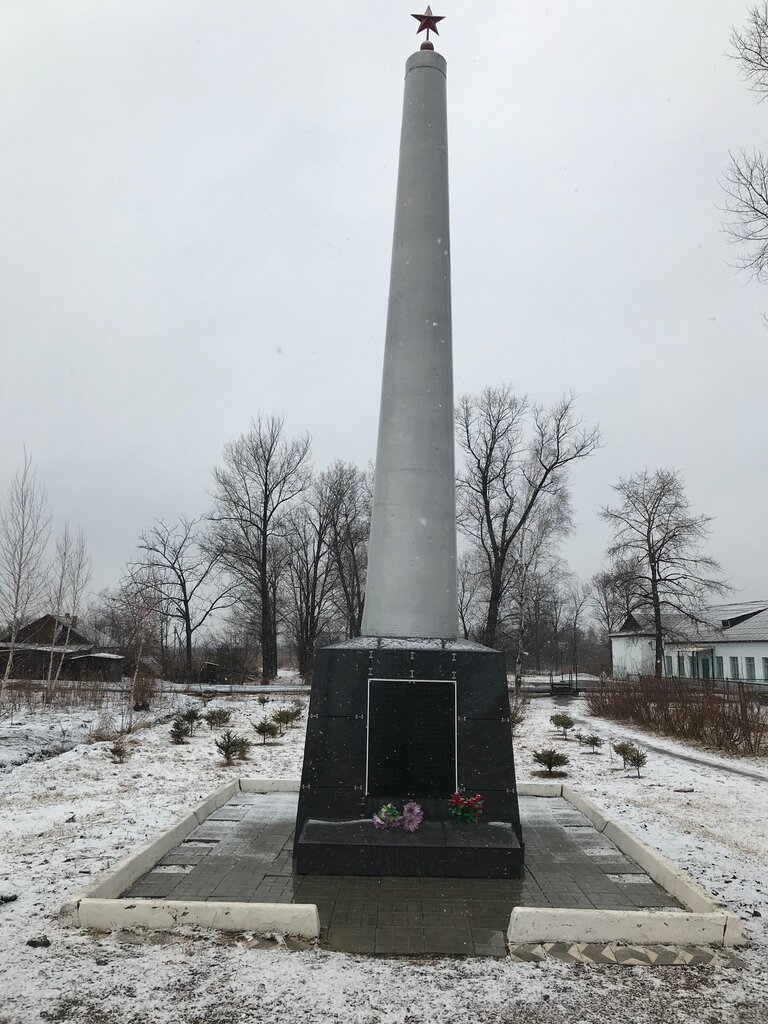 Anıt, heykel Обелиск воинам-землякам, павшим в Великой Отечественной войне, Primoriye, foto