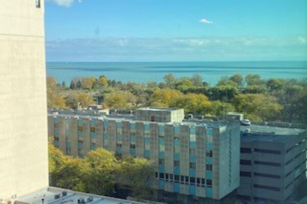 Madde bağımlılığı tedavi merkezi LifeStance Health, Chicago, foto