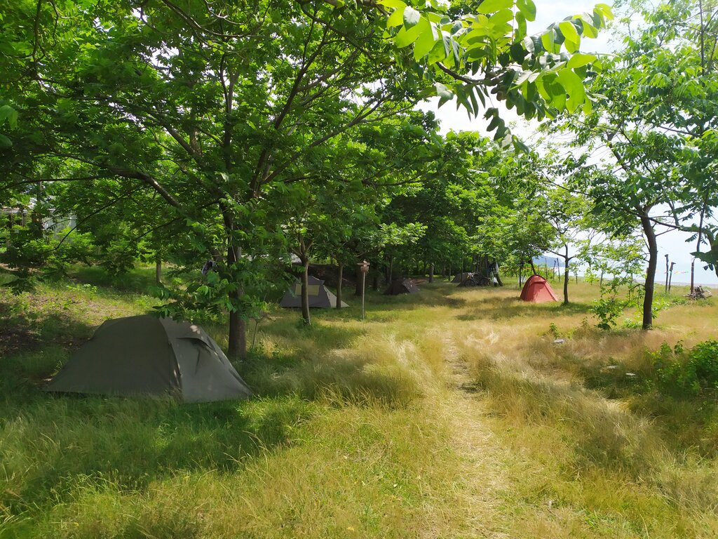 Kamp alanları GeoCamp Black Sea, Kabuletti, foto