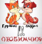 ЛЮБИМЧИКи (Krasnoarmeyskaya Street No:18), evcil hayvan kuaförleri  Kirov'dan