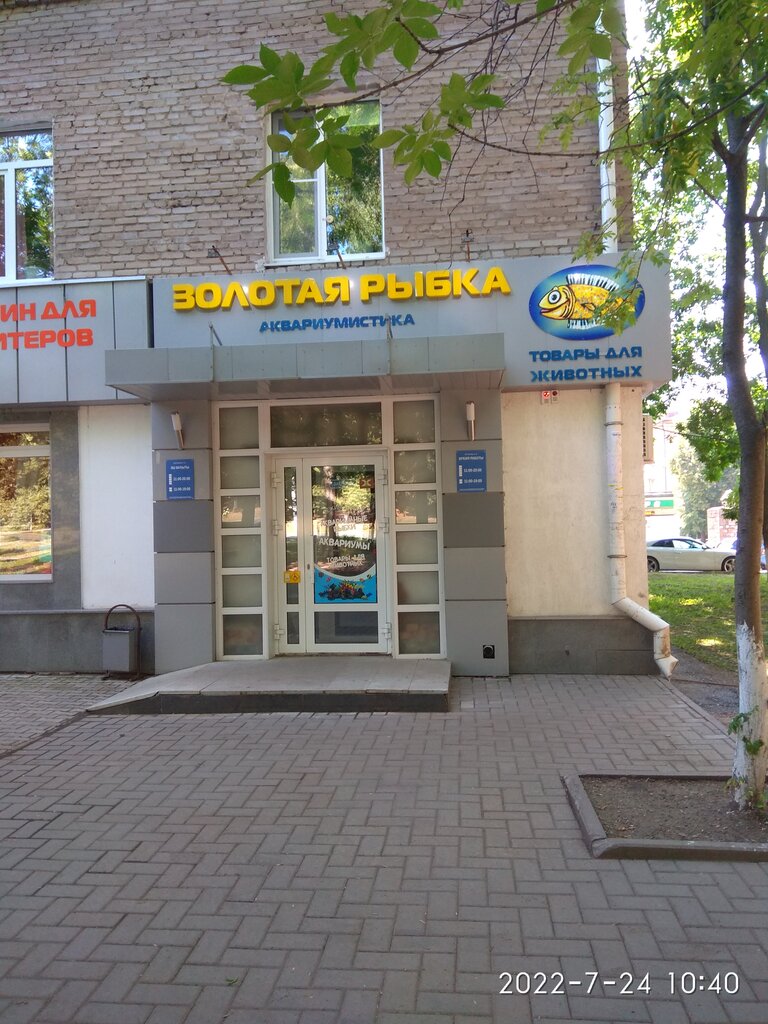 Petshop Золотая рыбка, Ufa, foto