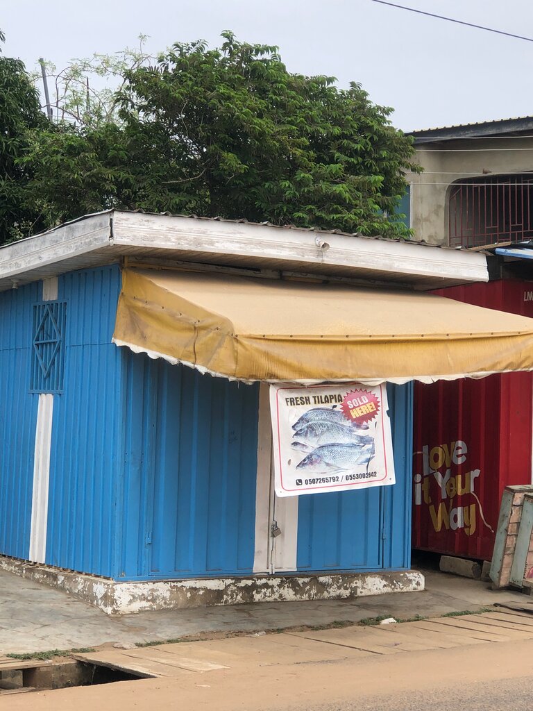 Dondurulmuş gıda firmaları Fresh Tilapia, Dünya, foto