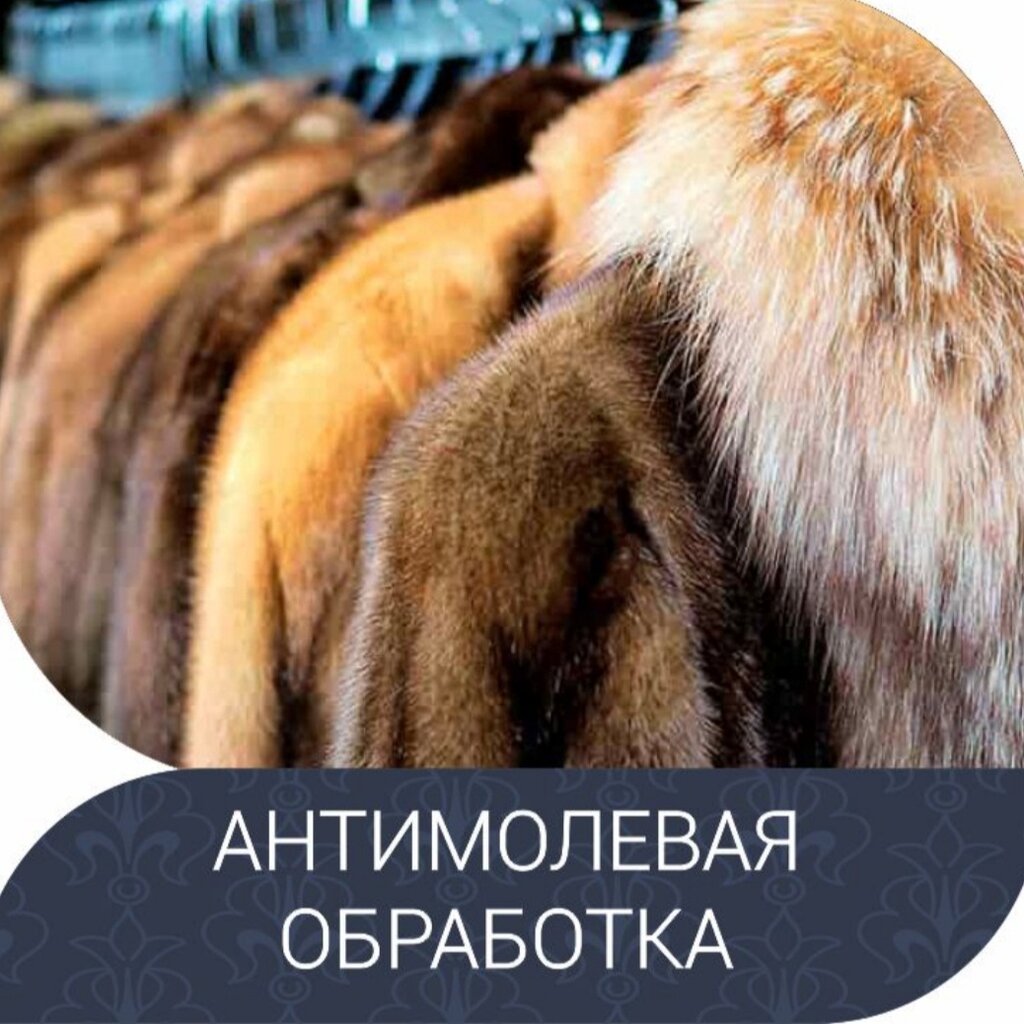 Kuru temizlemeciler Lavantel, Kovrov, foto