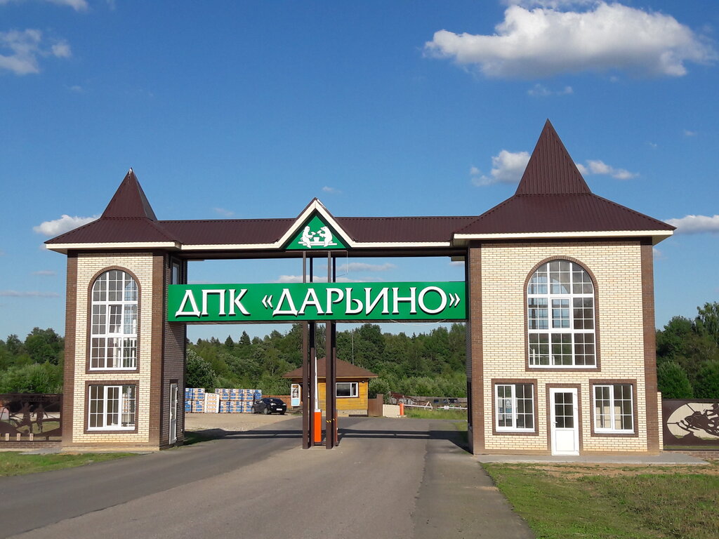 Yazlık yerleşim Darino, Vladimirskaya oblastı, foto