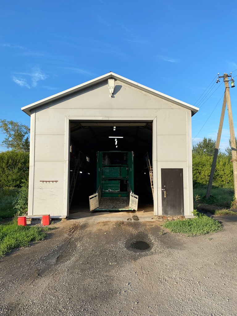 Oto yıkama Мойка скотовозов, Tambovskaya oblastı, foto