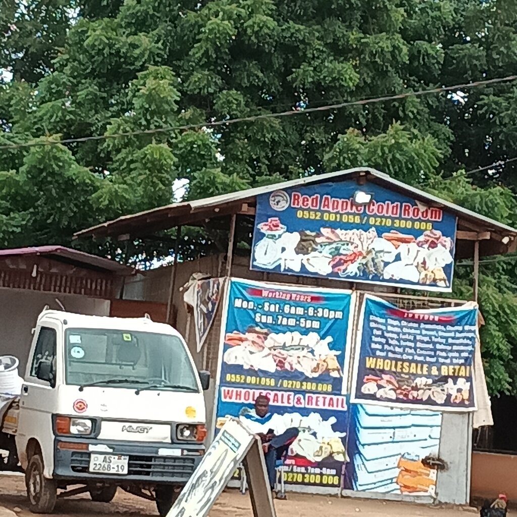 Dondurulmuş gıda firmaları Red Apple Cold Room, Dünya, foto