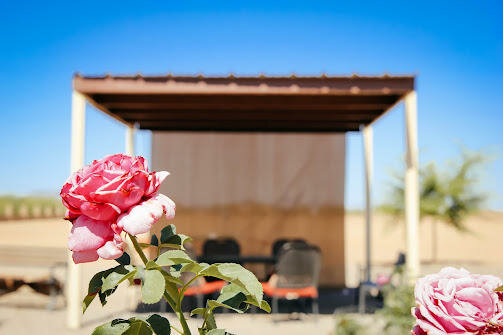 Madde bağımlılığı tedavi merkezi The River Source - Tucson Detox Center, Arizona Eyaleti, foto