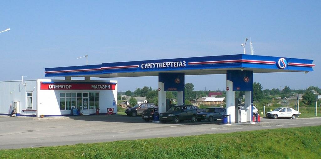 Benzin istasyonu Surgutneftegaz Pskovnefteprodukt, Pskovskaya oblastı, foto
