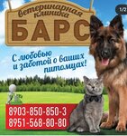 Барс (Vishnyovaya ulitsa No:1А, posyolok Otradnoye), veteriner klinikleri  Voronejskaya oblastından
