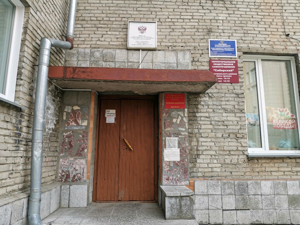 Sivil toplum kuruluşları Сибирский, Novosibirsk, foto
