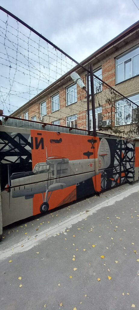 Sokak sanatı Граффити Ан-2, Novosibirsk, foto