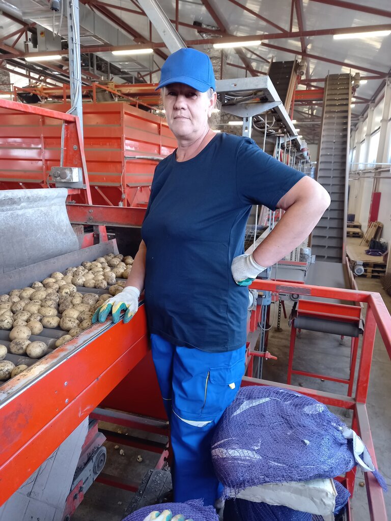 Tarım ürünleri firmaları Agroinvest, SKhP, Stavropolski krayı, foto