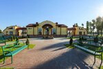 Zheleznodorozhnaya Stantsiya Pogodino (Magiliowskaja voblasc, Goracki rajon, Gorki), tren istasyonu  Gorki'den