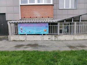 Мастерская Маки (ulitsa Gertsena No:1/1, Kirovskiy City Administrative District, Severo-Chemskoy zhilmassiv), hobi kulüpleri  Novosibirsk'ten