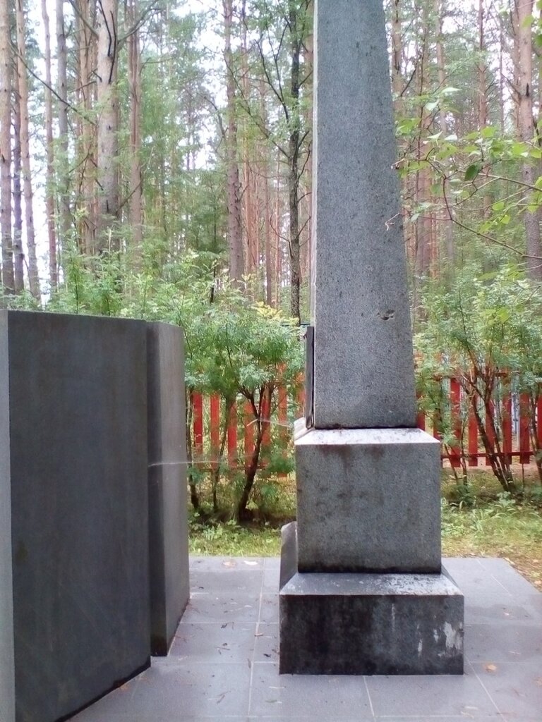 Anıt, heykel Братская могила, Vologodskaya oblastı, foto