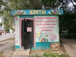 Цветы (Olovozavodskaya ulitsa No:5/1, Kirovskiy City Administrative District, Severo-Chemskoy zhilmassiv), çiçekçiler  Novosibirsk'ten