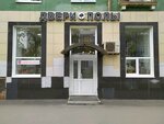 Двери полы (Gazety Zvezda Street No:77), kapılar  Perm'den