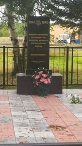 Героям Великой Отечественной войны 1941-1945 гг. (Tomsk Region, Parabelskiy rayon, derevnya Prokop, Tsentralnaya ulitsa), anıt, heykel  Tomskaya oblastından