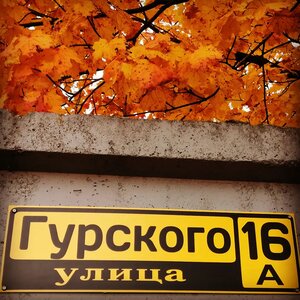 Ae Motors (Gurskaga Street No:16А, Minsk), otomobil servisi  Minsk'ten