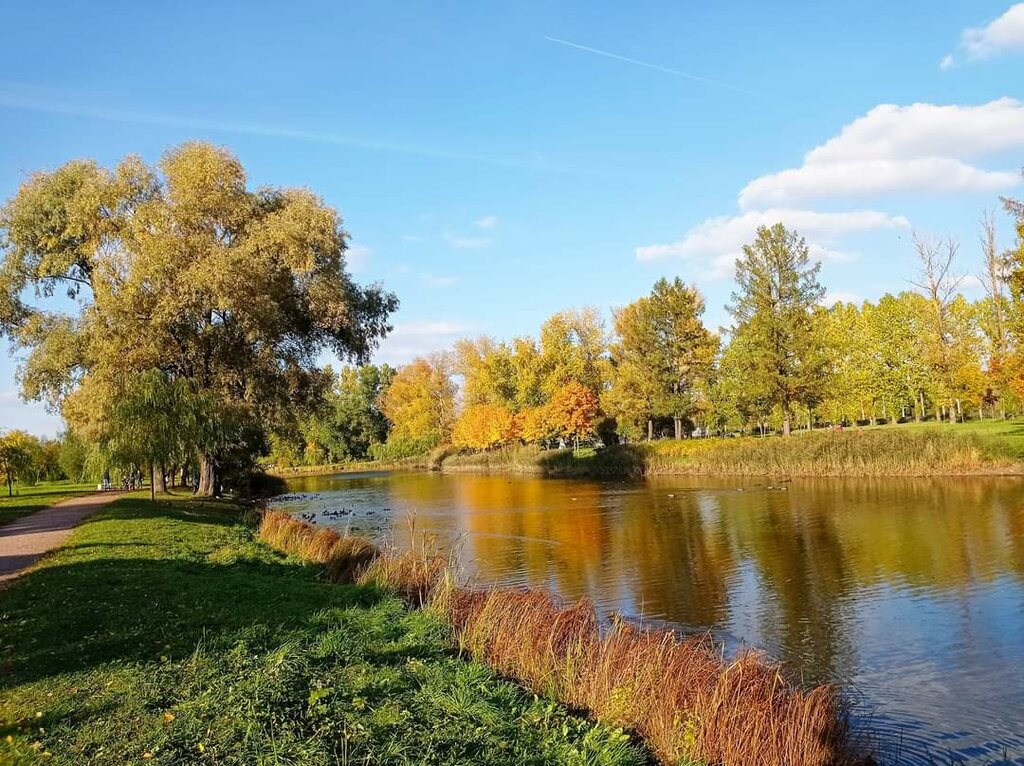 Kültür ve eğlence parkları Харламов сквер, Kolpino, foto