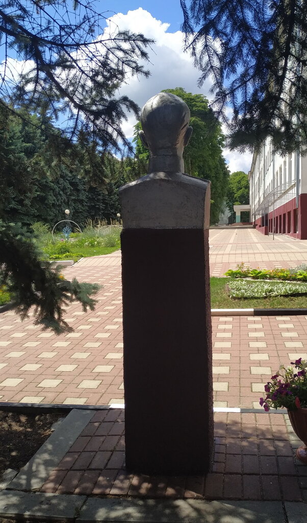Anıt, heykel Бюст Героя Советского Союза Абросимова М.Р., Belgorodskaya oblastı, foto
