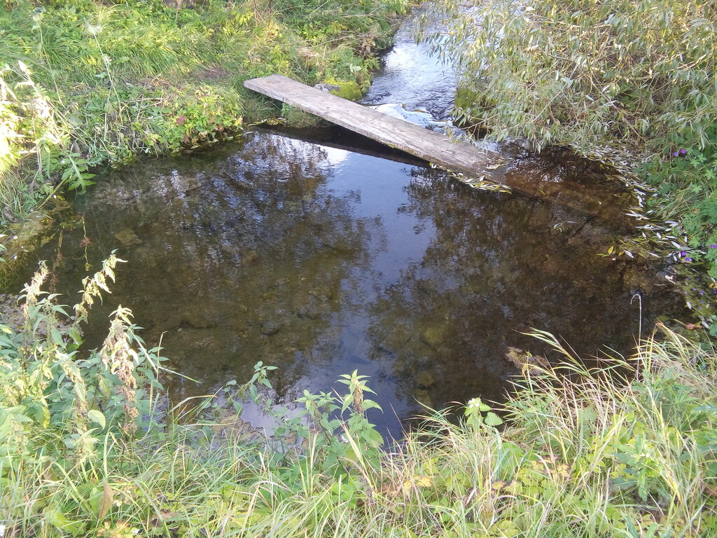 Pınar, çay Spring, stream, Saint‑Petersburg ve Leningradskaya oblastı, foto