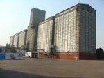Umansky Elevator DChP Dak Khleb Ukrainy (улица Старицкого No:7), silo  Uman'dan