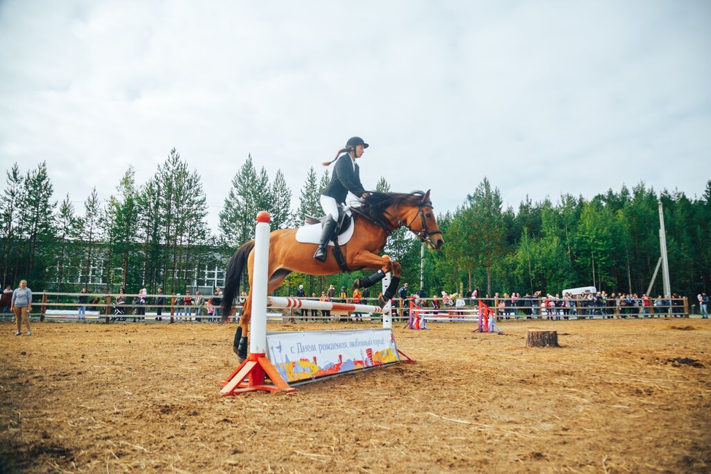 At ve binicilik kulüpleri Алькор, Niagan, foto