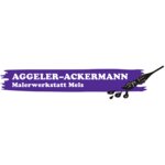 Aggeler-Ackermann GmbH (Föhrenweg No:5, Mels), boya ekipmanları  St. Gallen'den