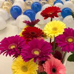 Flowers (Moscow, Vasiliya Botylyova Street, 14А), çiçekçiler  Moskova'dan
