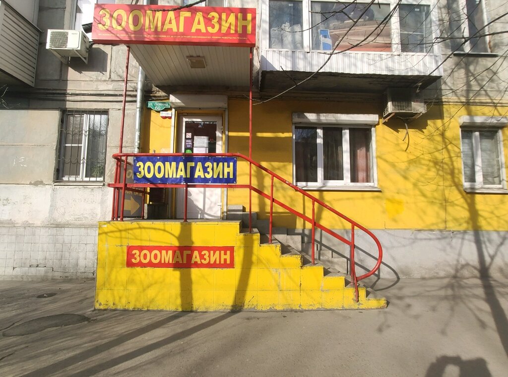 Petshop Beliy kakadu, Rostov‑na‑Donu, foto
