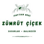 Zümrüt Çiçek (Balıkesir, Susurluk, Han Mah., Hacı Bayram Sok., 21), çiçekçiler  Susurluk'tan