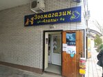 4 Лапы (2nd Krasnodarskaya Street No:80к14), petshop  Rostov‑na‑Donu'dan