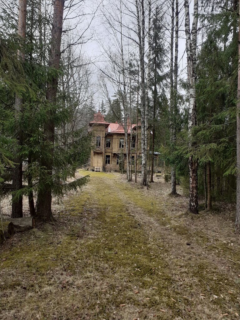 Turistik yerler Дача, конец XIX - начало XX века, Saint‑Petersburg ve Leningradskaya oblastı, foto