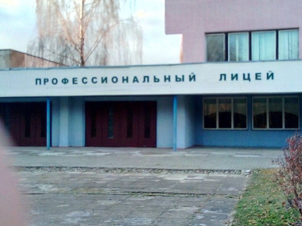 Lise Litsey Professionalny Gosudarstvenny Uo, Zhodzina, foto