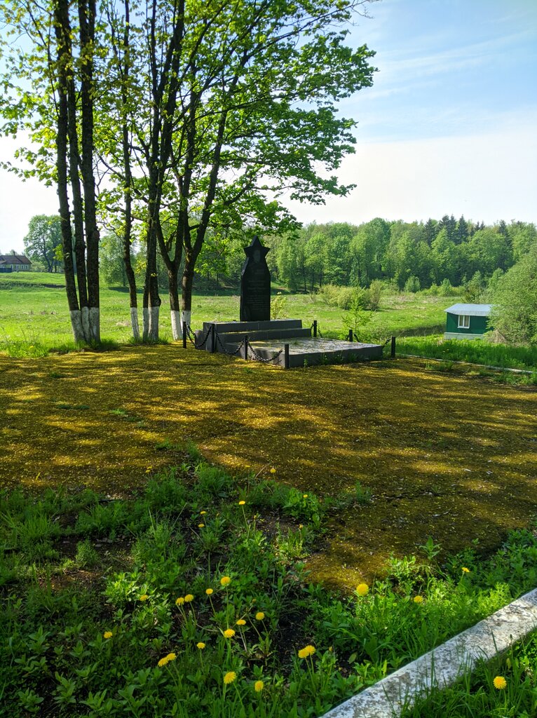 Anıt, heykel Памятник Я. Фабрициусу, Gdov, foto