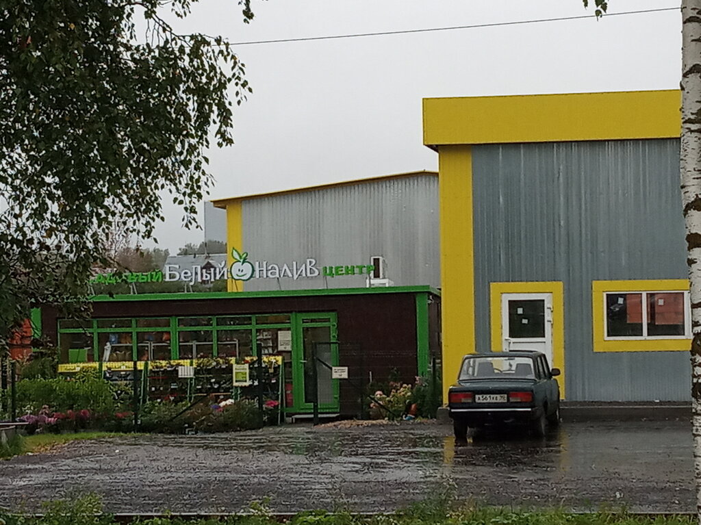 Sera ve bahçe ürünleri Beliy Naliv, Moskova ve Moskovskaya oblastı, foto