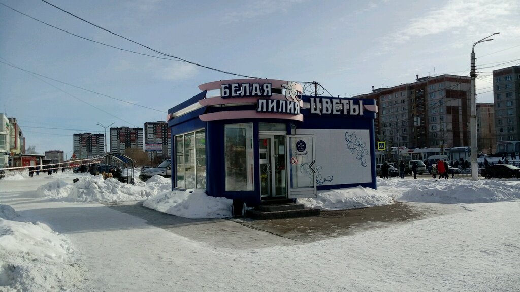 Çiçekçiler Tsvetochny salon Belaya Liliya, Magnitogorsk, foto
