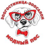 Modny Pes Zoosalon Ip Korolev S. B. (vulica Jacyna No:5), evcil hayvan kuaförleri  Moguilev'den