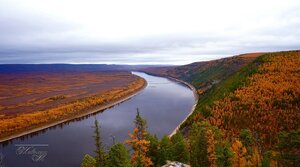 Gosudarstvenniy prirodniy zapovednik Olekminskiy (ulitsa Brovina No:6, Olyokminsk), parklar ve ormanlar  Olyokminsk'ten