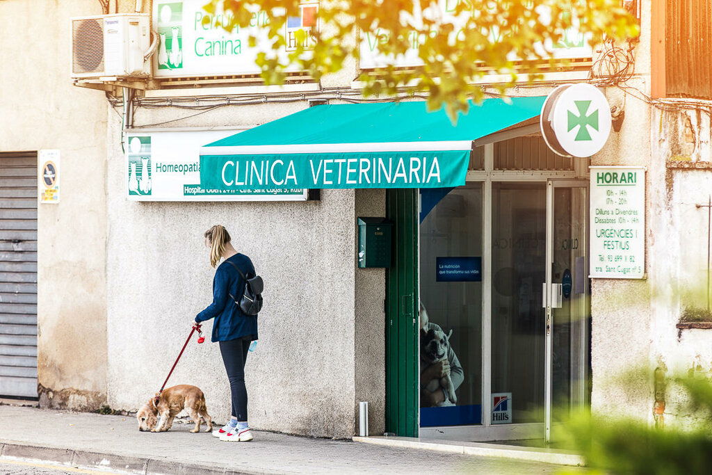 Veteriner klinikleri Dispensari Veterinari Del Vallés, Katalonya, foto