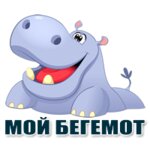 MyBegemot.ru (6th Radialnaya Street No:30), online mağaza ofisi  Moskova'dan