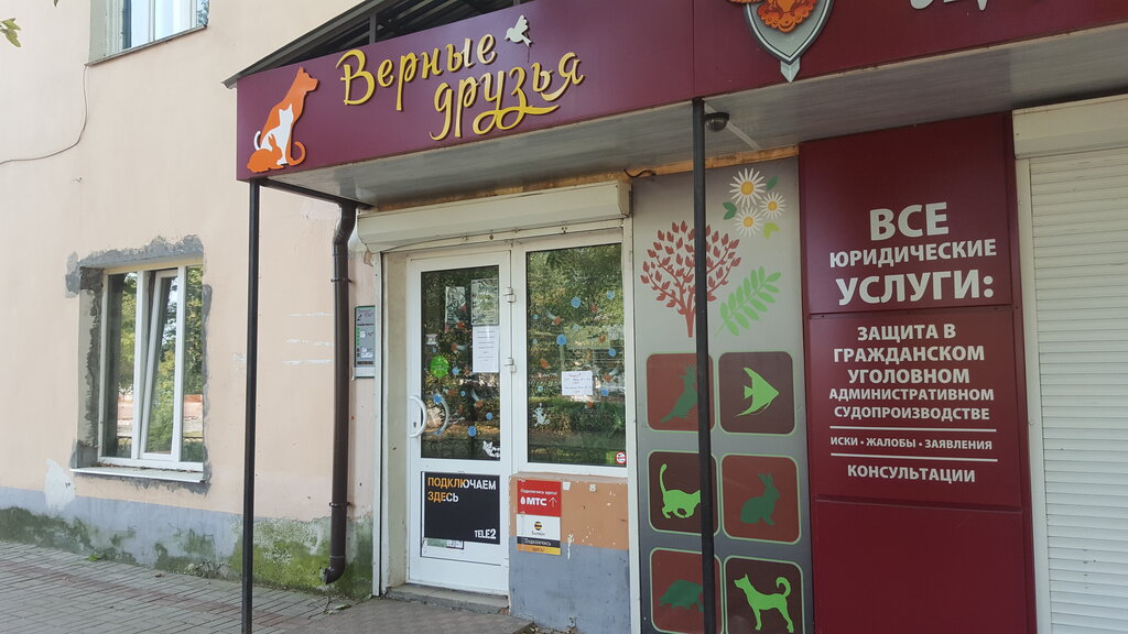 Petshop Vernyye druzya, Yelets, foto