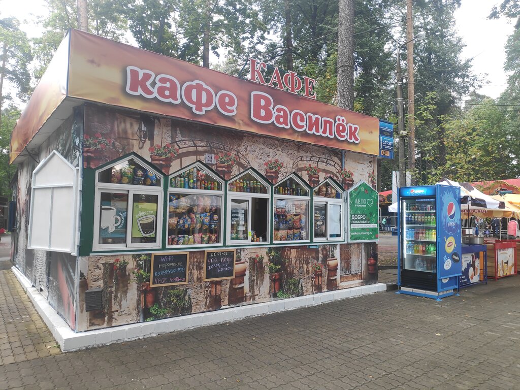 Kafe Василек, Ramenskoye, foto