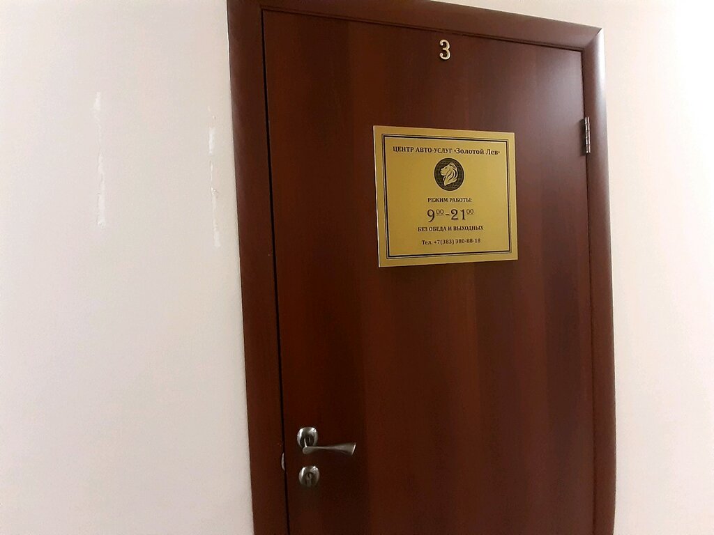 Araç sigorta şirketleri Золотой Лев, Novosibirsk, foto