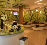 Gelateria Caffetteria K2 (Emilia-Romagna, Reggio Emilia, Via per Scandiano, 12), bar  Emilia‑Romagna'dan