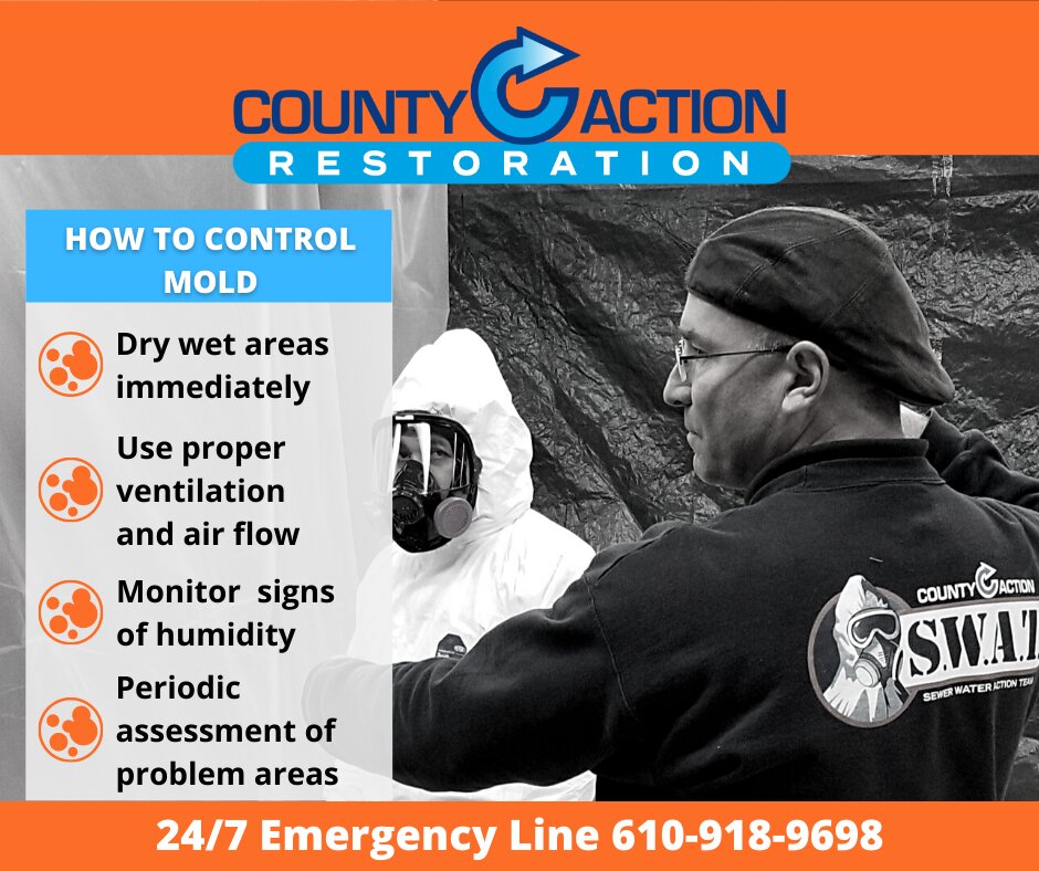 Halı yıkamacılar County Action Restoration, Pennsylvania, foto