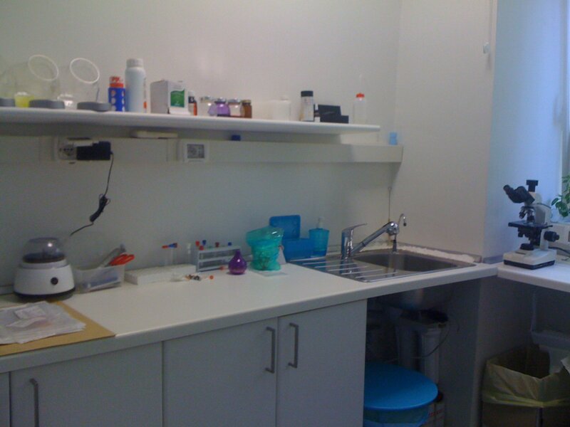 Veteriner klinikleri Ambulatorio Veterinario Pisacane, Cenova, foto